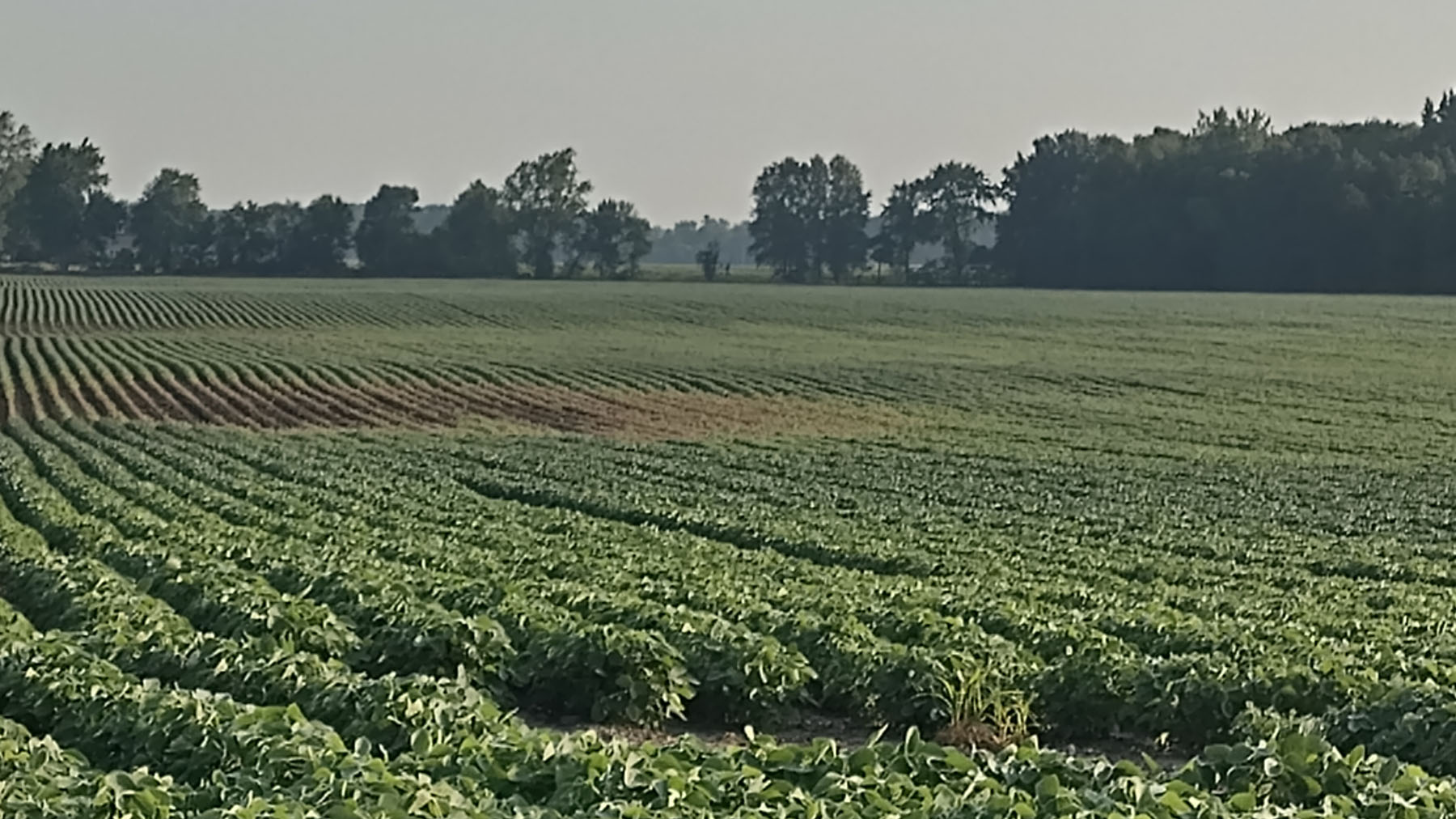 Nebraska Farmer