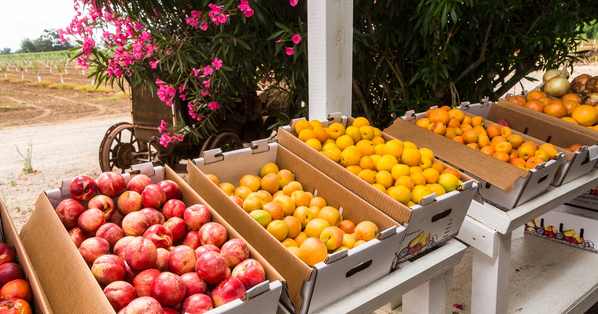 Local fruit stands: treasure troves for locally-grown commodities and ...