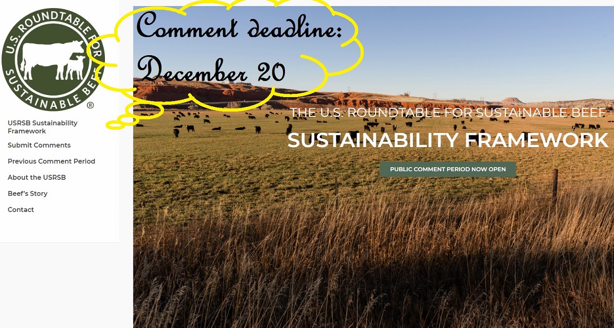 Roundtable for Sustainable Beef seeking input