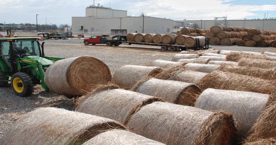UT to display biofuels production, processing | Farm Progress