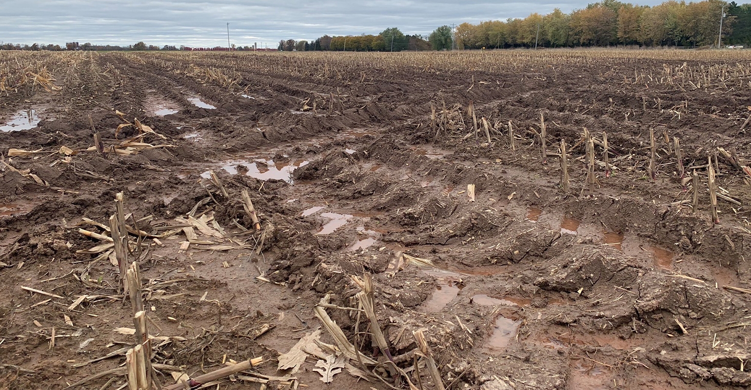 Managing soil compaction after excessively wet year