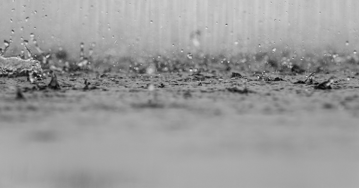 Tracking rain, one droplet at a time