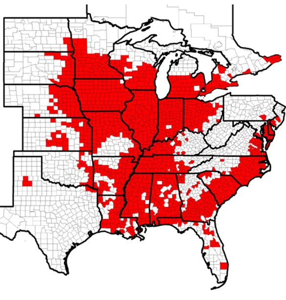 SDS in soybeans likely sign of SCN
