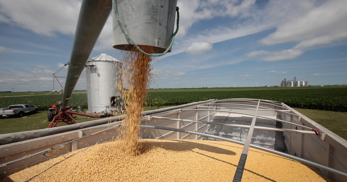 Grain markets keep treading water