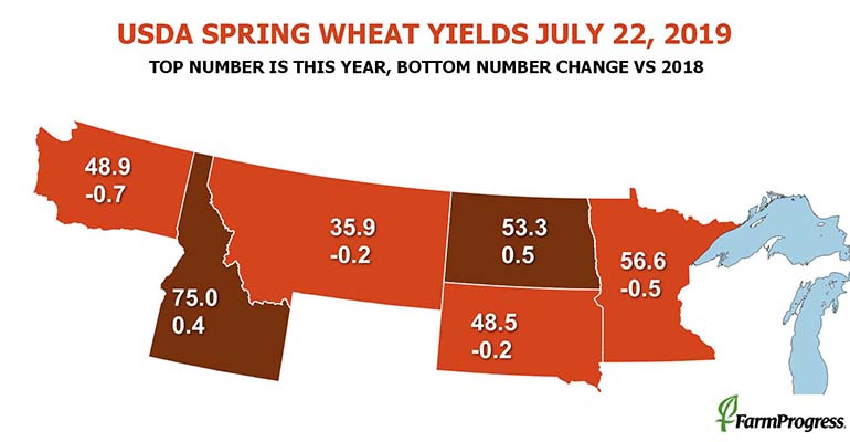 USDA crop progress: Corn quality slips, soybeans steady