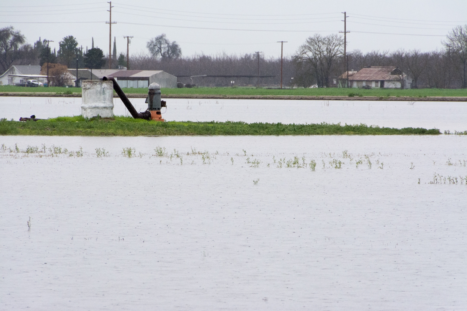 Farmers help recharge groundwater basins by flooding farmland