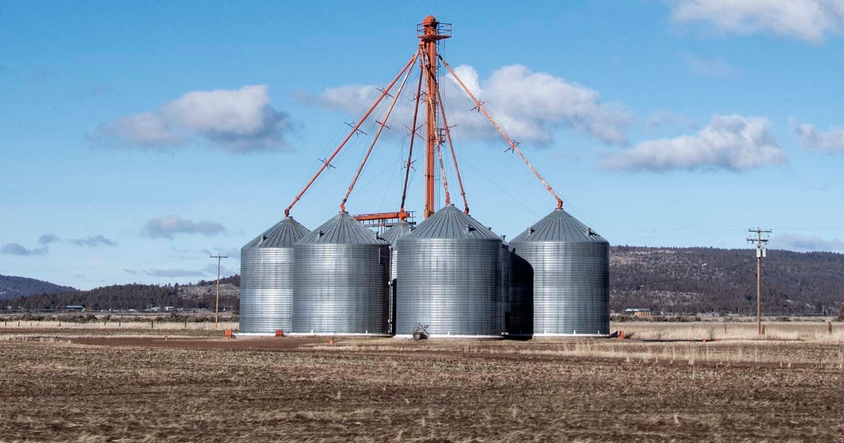 Grain marketing strategies: Meet May Sellers