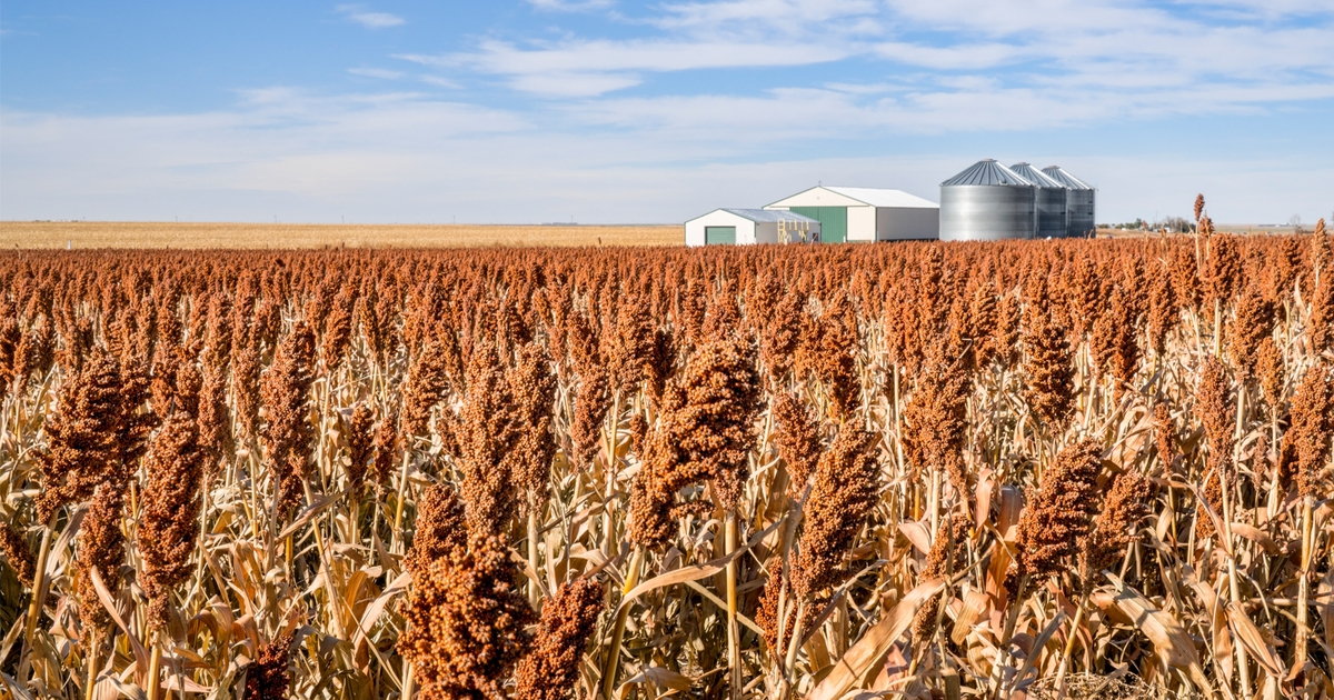A look at the 2020 Master Farmer class
