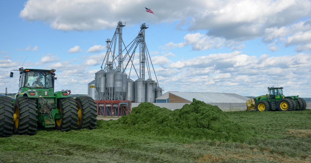 Consider these 7 options to secure early spring forage