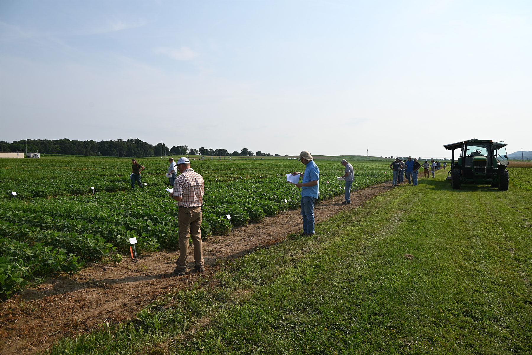 Sorghum injury? Check your seed