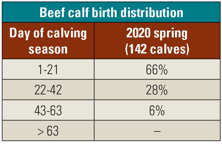 Early-season calves show heavier weaning weights