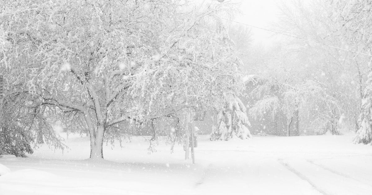 Relive childhood memories of Great Blizzard of ’78
