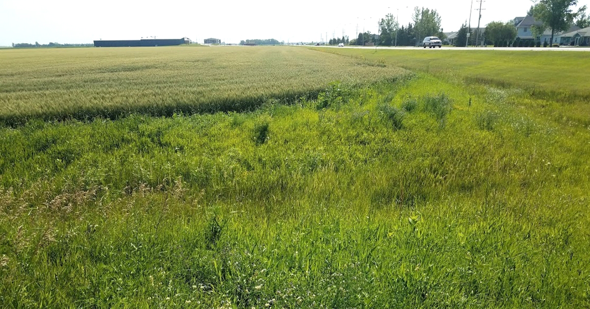 Is subsurface drainage system worth investment? | Farm Progress