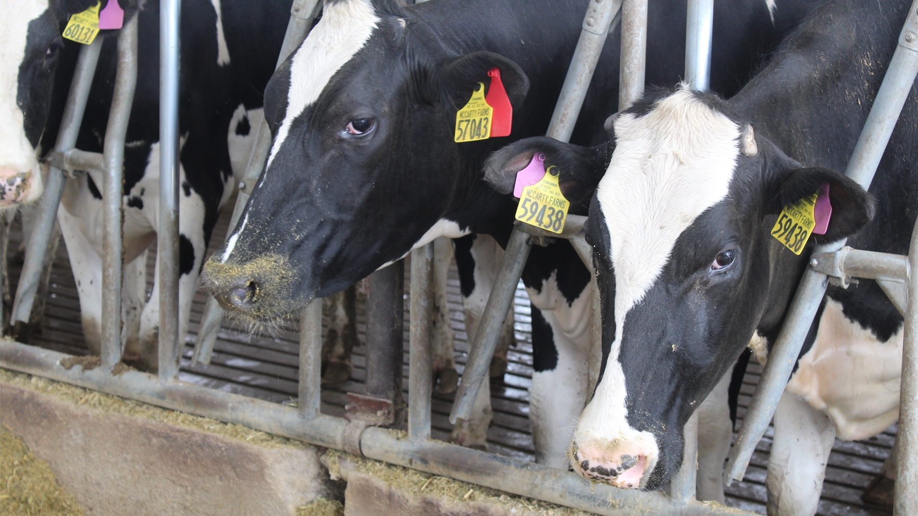 Magazines | Farm Progress