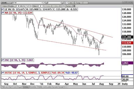 Live and feeder markets still showing upside potential