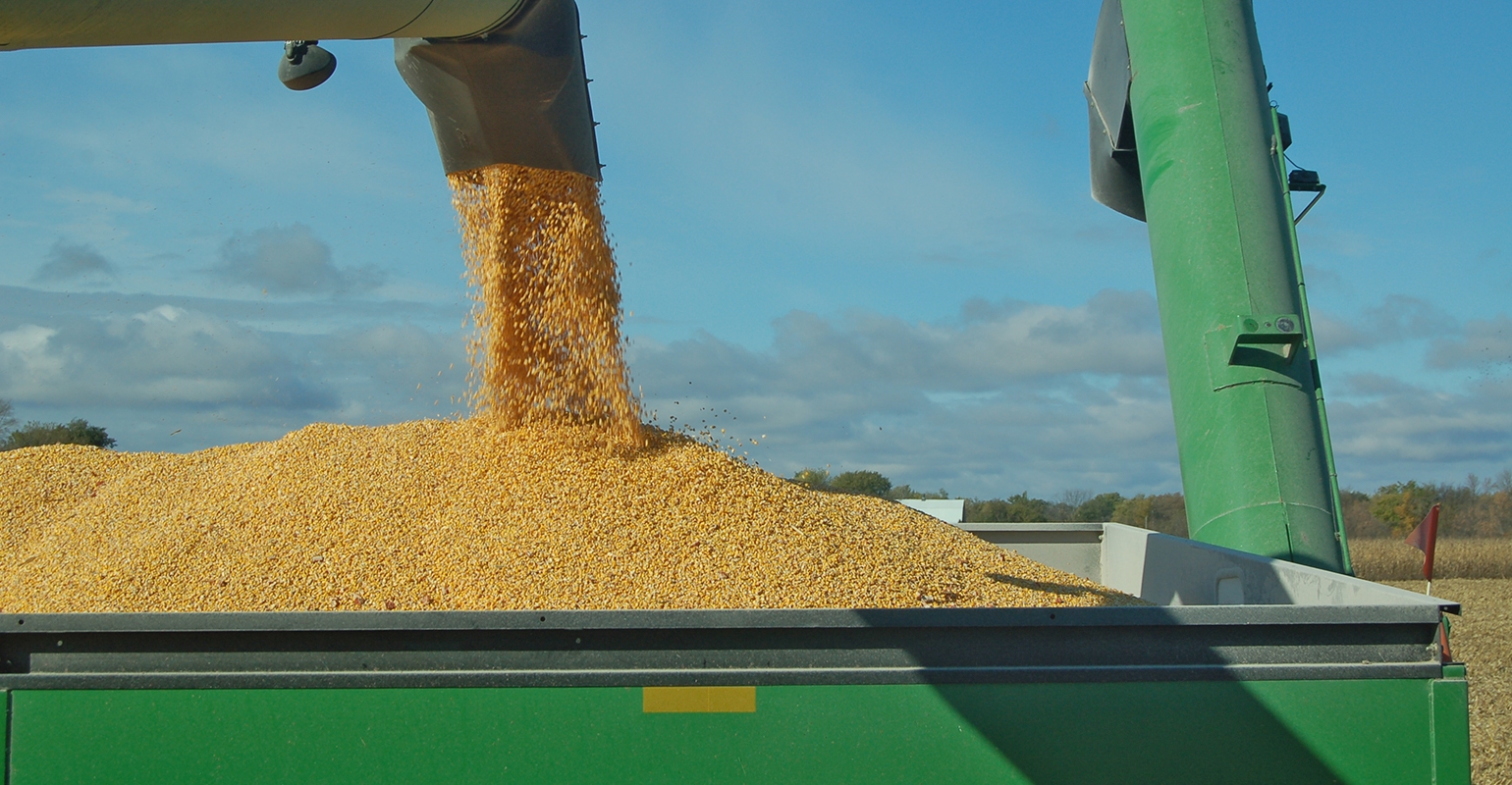 A third of Minnesota farms in red in 2016