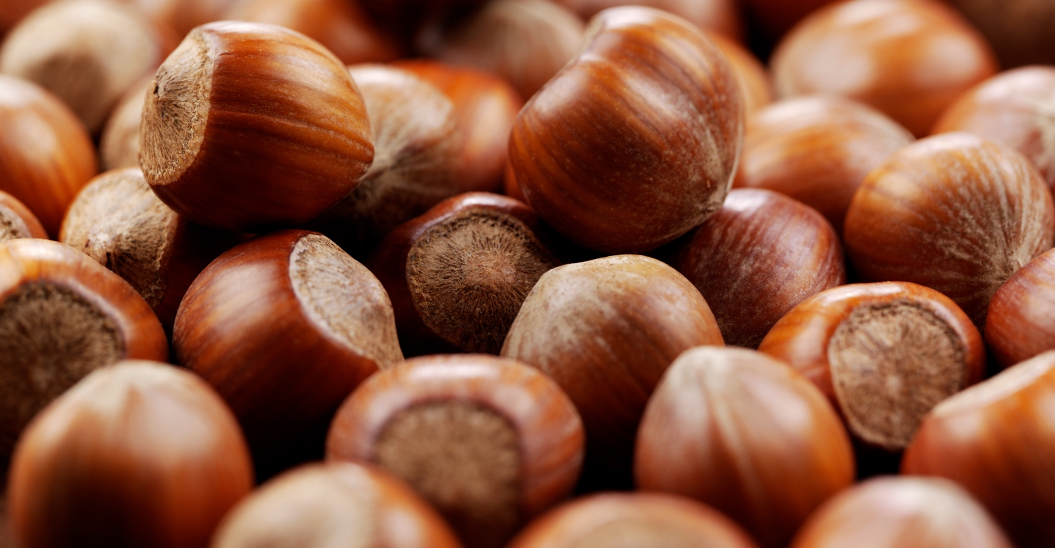 Oregon hazelnut growers setting new record