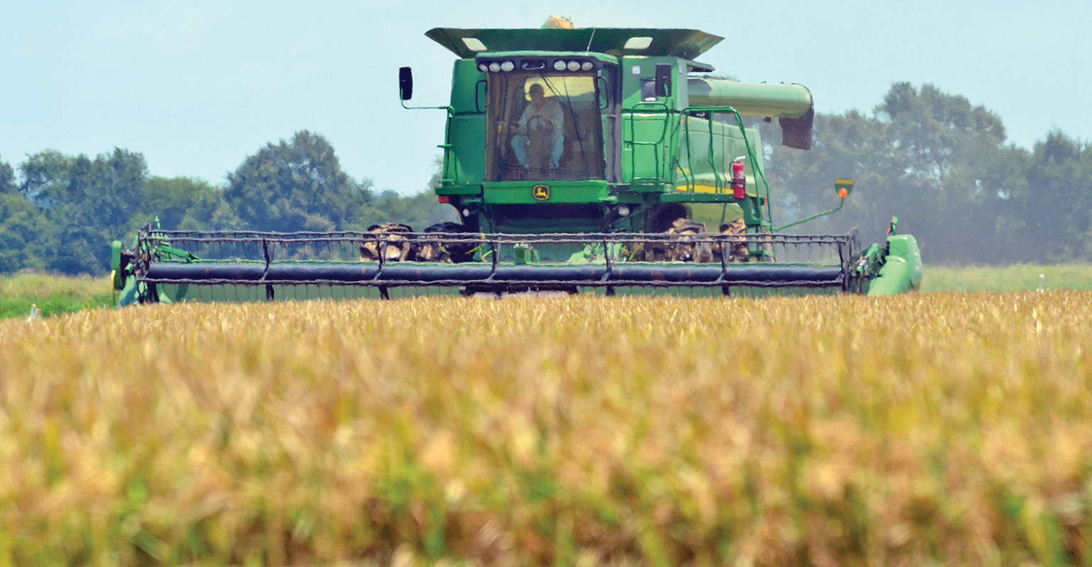 Louisiana farmers see good yields despite tough conditions in 2017