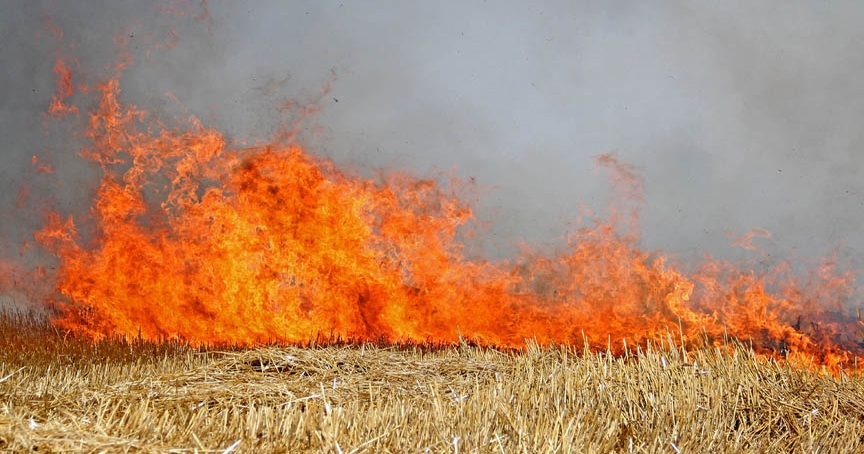 Farmer risks life to stop fire | Farm Progress