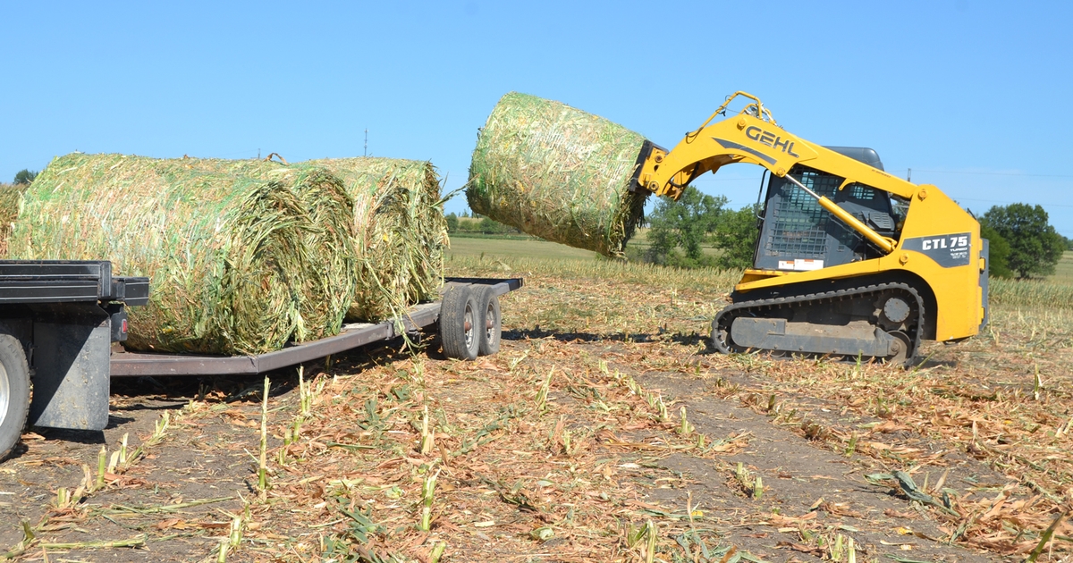 6 things to review on farm liability insurance policy