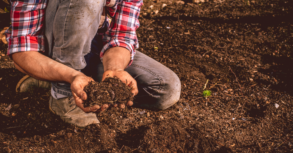 Are your soil-sampling practices providing the most accurate results?