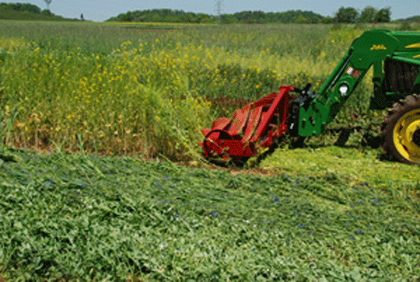 Roller/crimper can help ‘terminate’ large cover crops