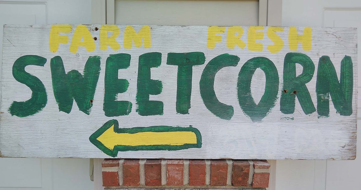 Our sweet corn business is making a comeback