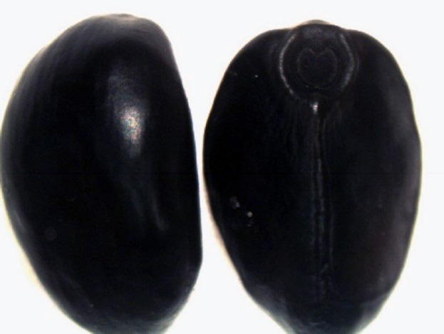 Deep tillage: To turn or not to turn?