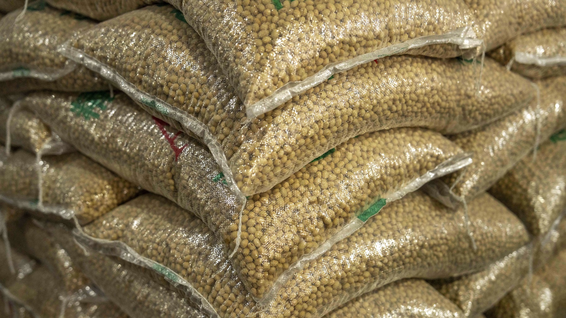 What is in a mission statement?