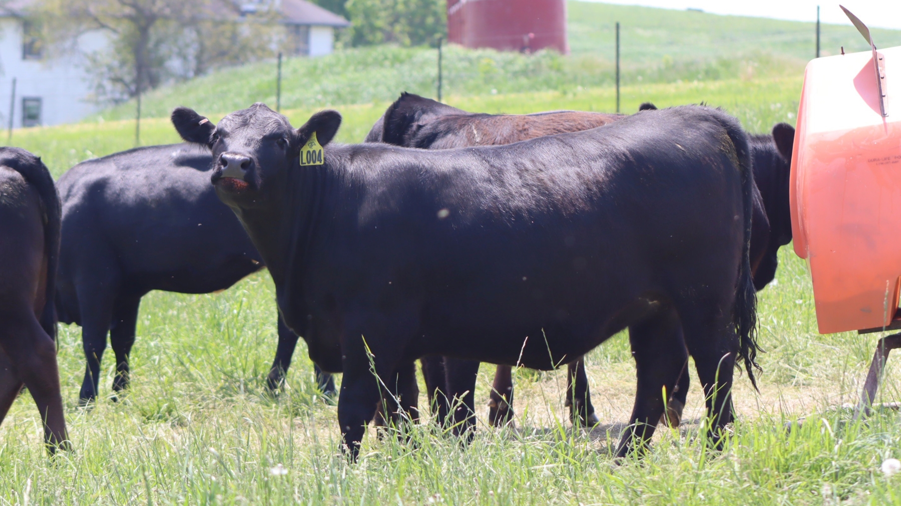 Anhydrous ammonia key ingredient in rural meth-making