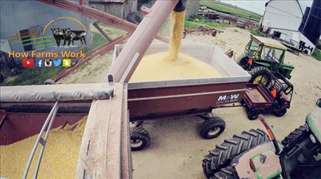 Potosi farmer starts YouTube channel How Farms Work