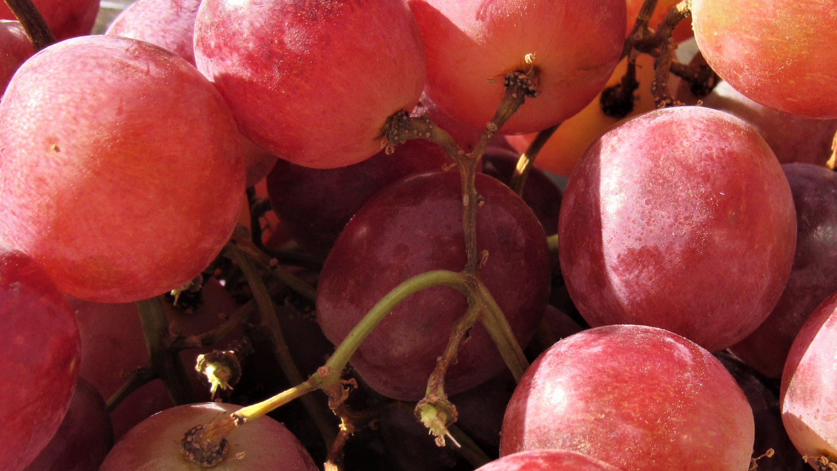 Grape group fights Chilean import proposal