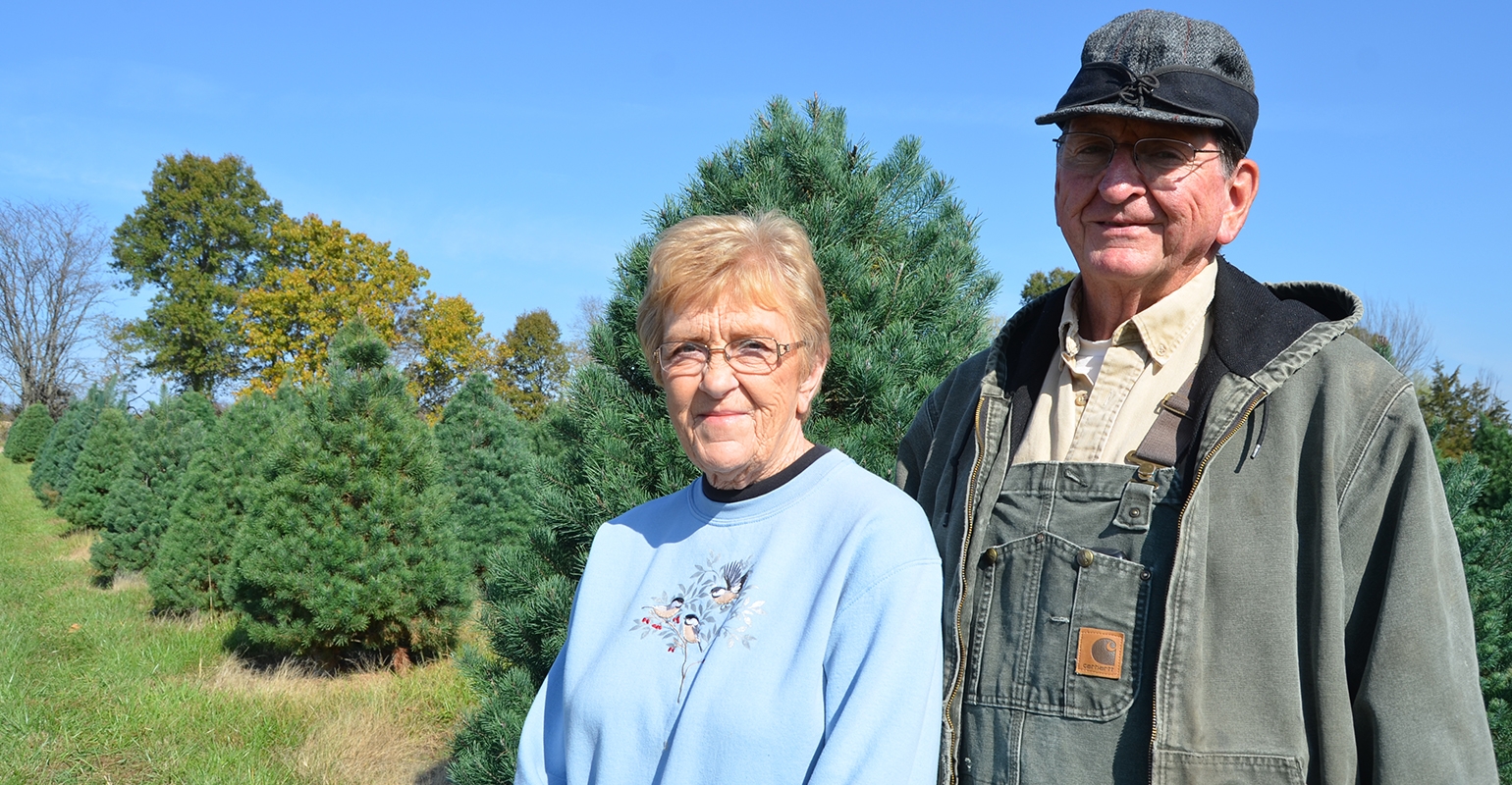 Couple readies Christmas tree farm for 'Green Friday'