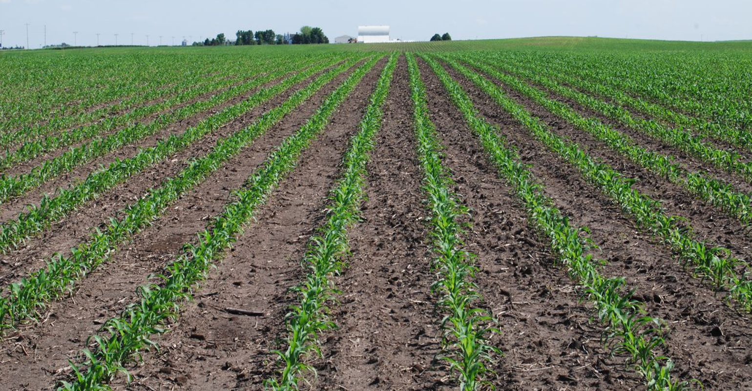 Do you know your crop growth stages?