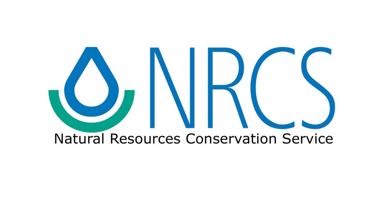 NRCS service honored with California rice award | Farm Progress