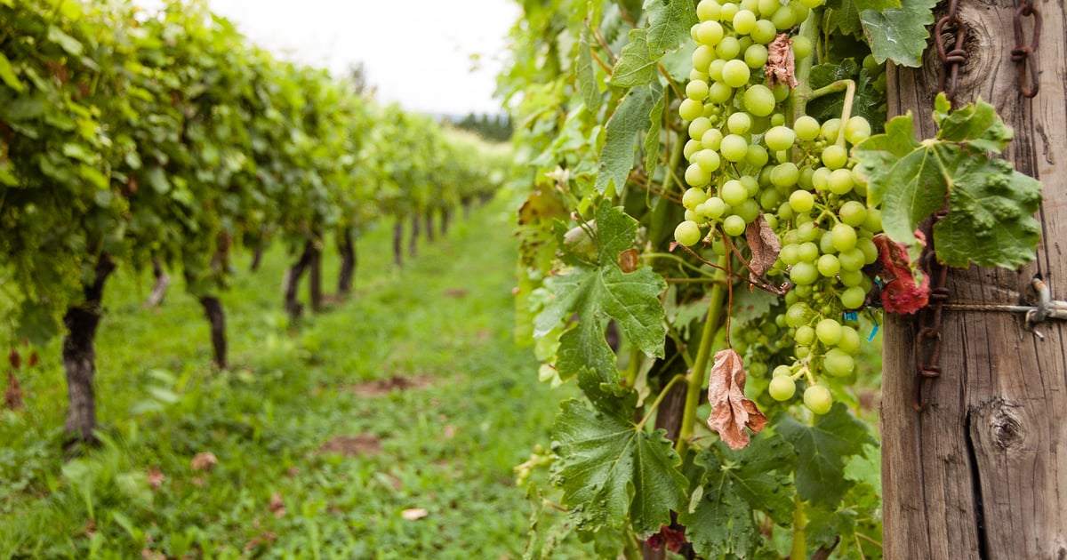 Biological startup carving new niche