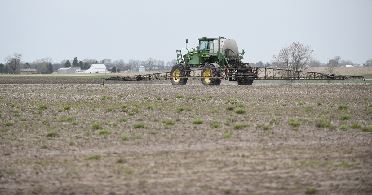 4 ways to improve weed control