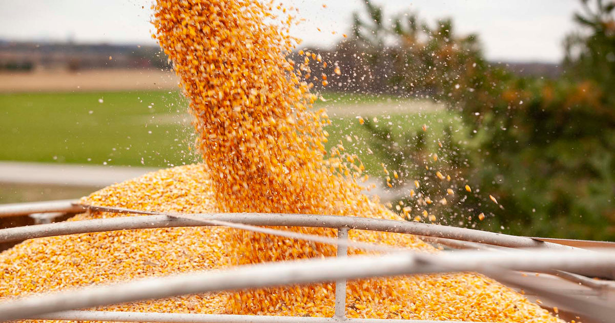 Will corn basis gains keep coming?