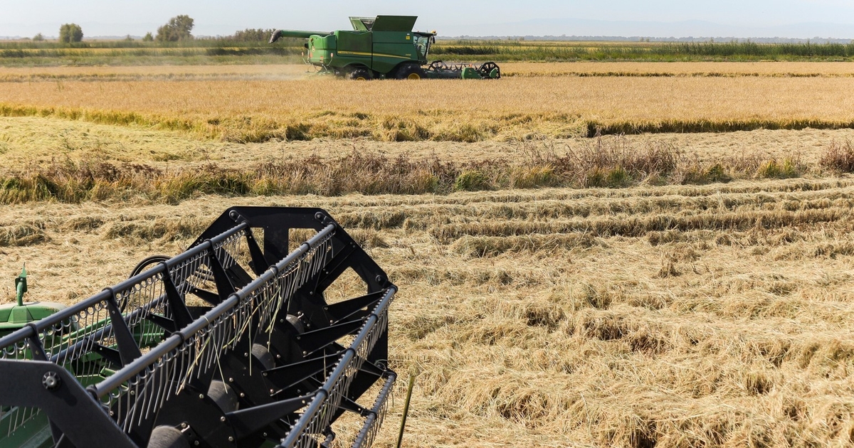 China receives first-ever U.S. rice shipment