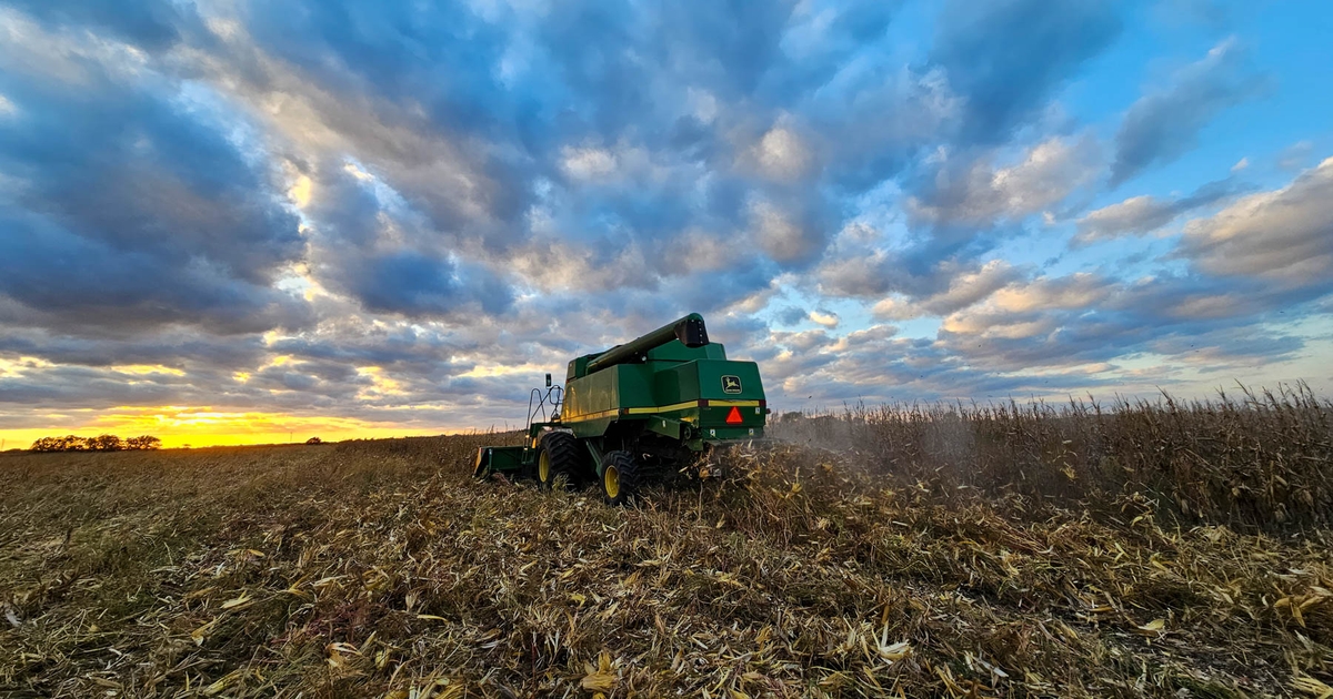Feed grains, farm planning complex in 2025