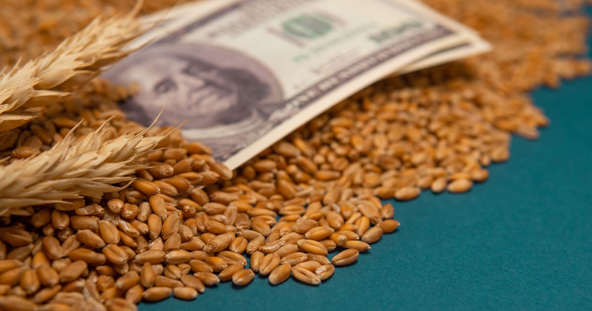 Bad outlook for U.S. winter wheat crop gets worse