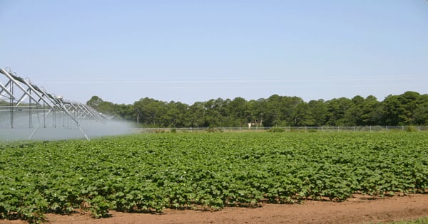 Plan aims to protect North Carolina water resources | Farm Progress