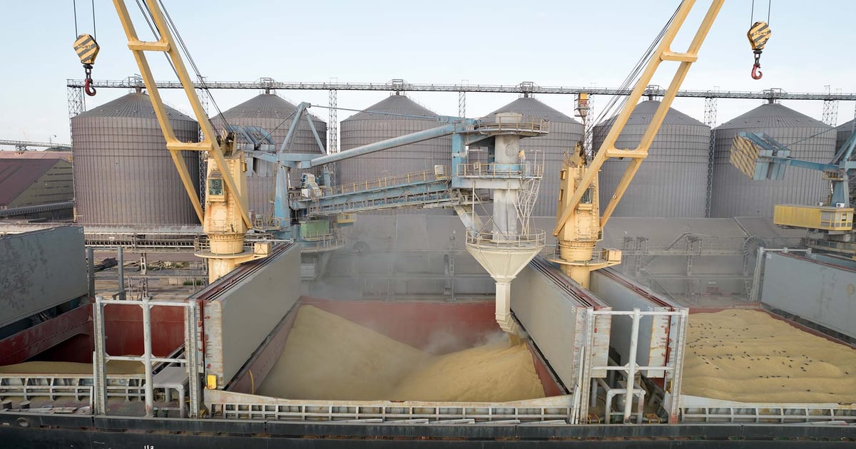 Export Report: Wheat sales surprisingly strong