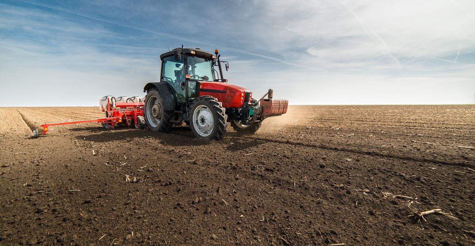 Studies take closer look at twin-row corn