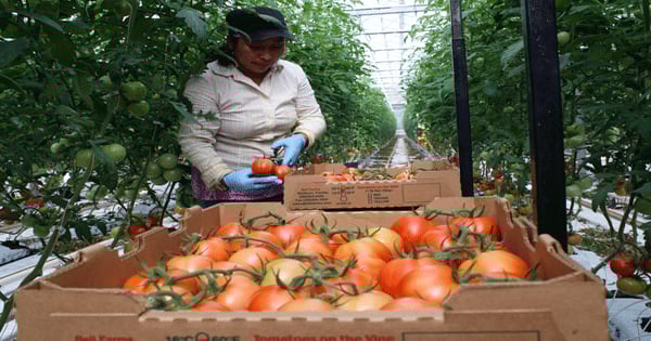 Several factors could join to boost fruit and vegetable demand