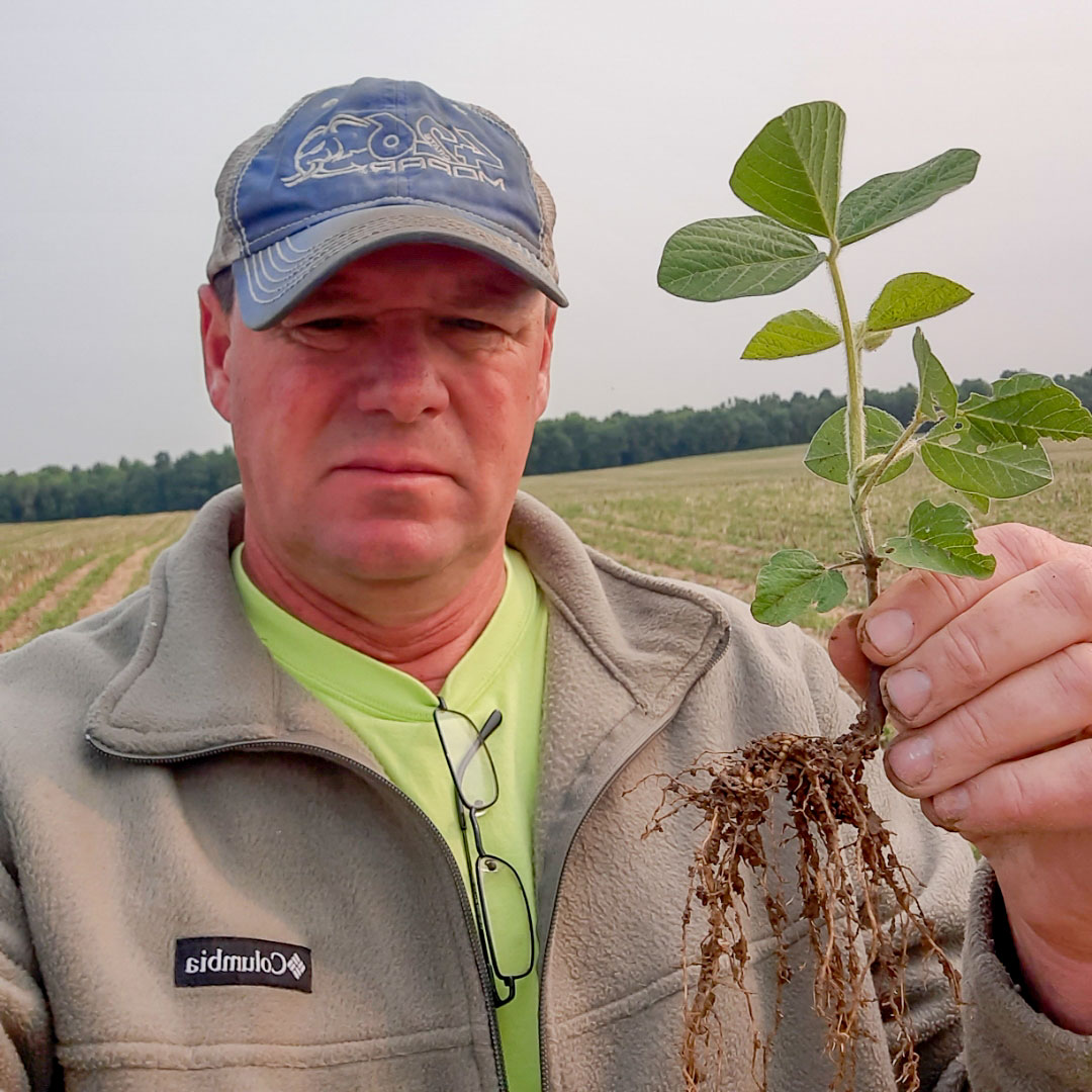Saving rain brings new life to Ohio crops