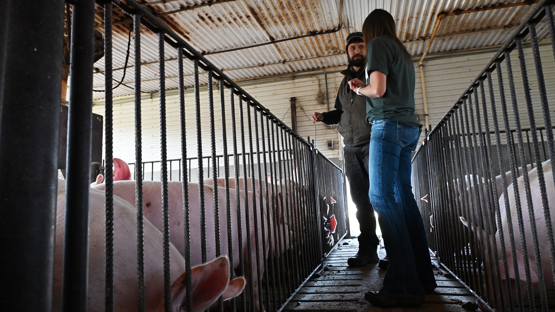 How one woman found her place in the family operation