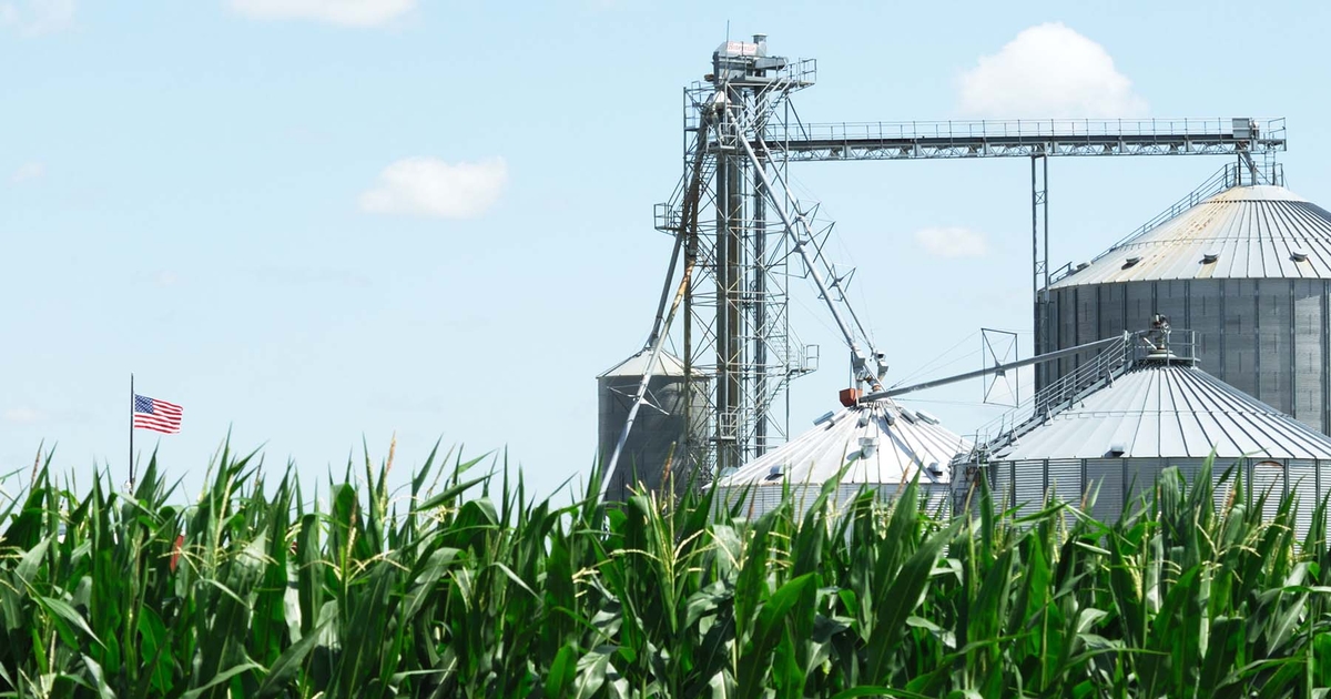 Grain market volatility: Summer strategies for U.S. farmers