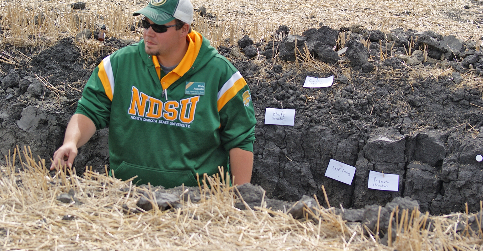 Sodicity and salinity: What’s the difference?