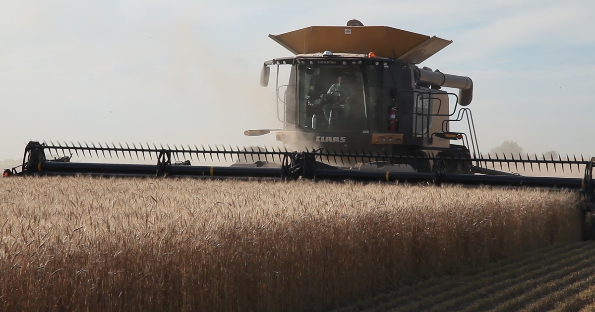 USDA crop progress: Planting progress slows after a wet week